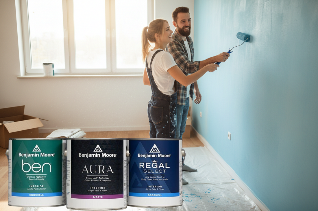 Paint Store in London – Colour Company – Colour Company